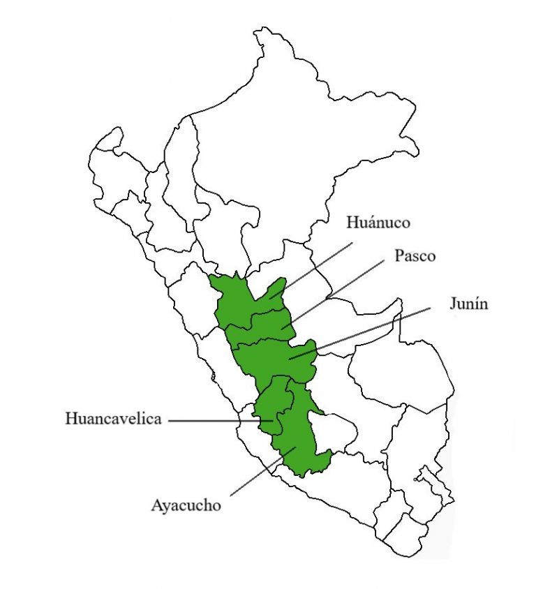 Maca – Peruorigins