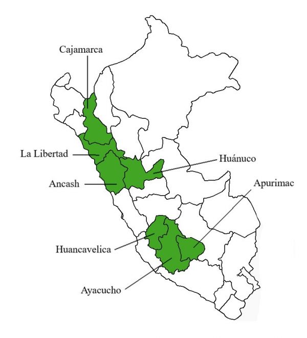 Tara – Peruorigins